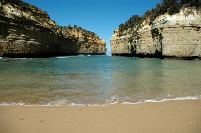 From Melbourne: Great Ocean Road, 12 Apostles, Wildlife Tour - Lunch and Free Time in Apollo Bay