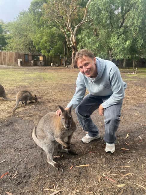 From Melbourne: Great Ocean Road, Dingos, Sparkling & Lunch - An In-Depth Look at the Tour Experience