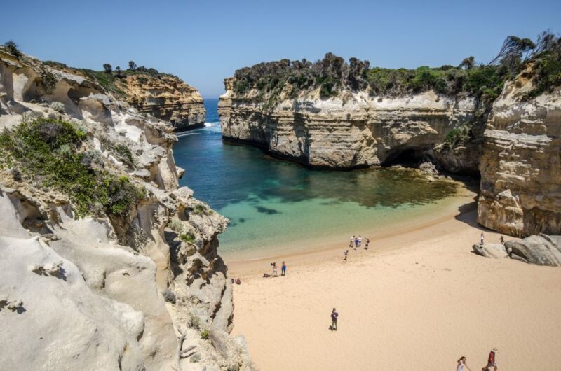 From Melbourne: Great Ocean Road Eco Tour with Lunch - Key Points