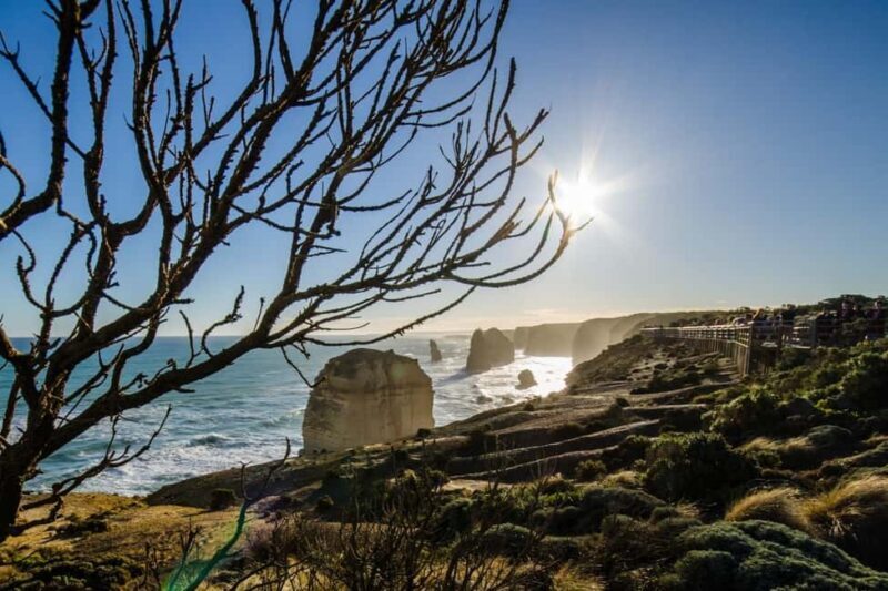 From Melbourne: Great Ocean Road Eco Tour with Lunch - Rainforest Walks and Otway Wildlife