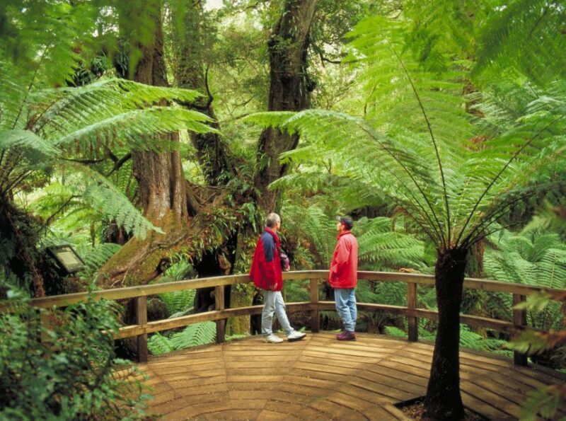 From Melbourne: Great Ocean Road Full-Day Guided Trip - Practical Considerations