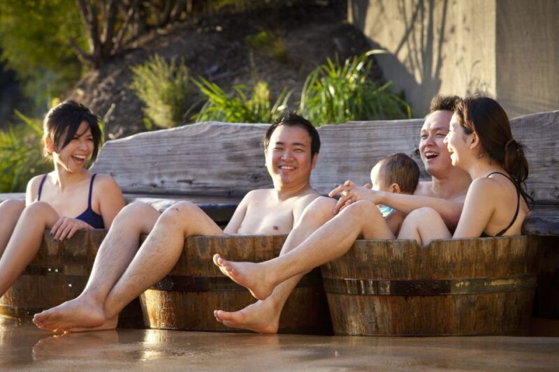 From Melbourne: Half-Day Spa Trip to Peninsula Hot Springs - What Makes the Baths Special?