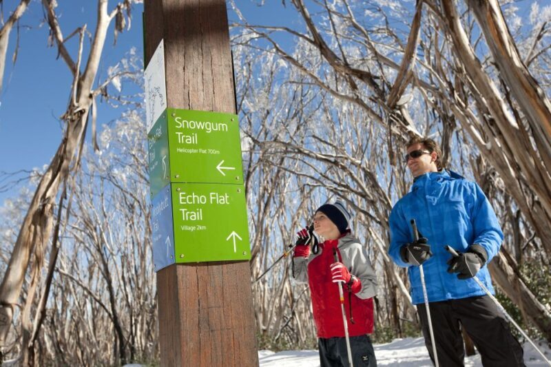 From Melbourne: Lake Mountain Snow Experience - Who Is This Tour Best For?