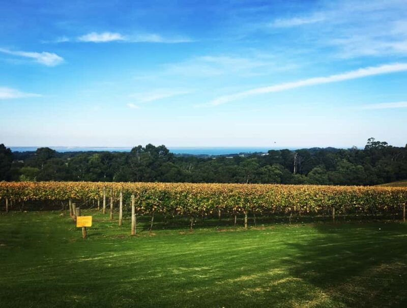 From Melbourne: Mornington Peninsula Private Winery Tour - The Value of a Private Tour