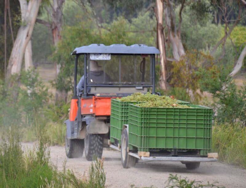 From Melbourne: Mornington Peninsula Private Winery Tour - Who Would Enjoy This Tour?