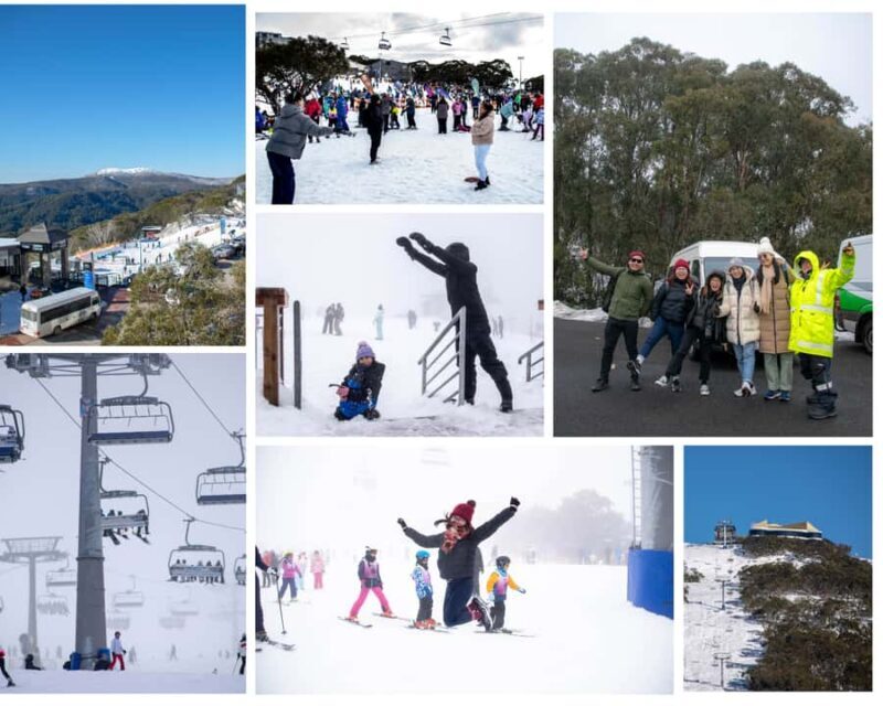 From Melbourne: Mount Buller Guided Day Tour - Key Points