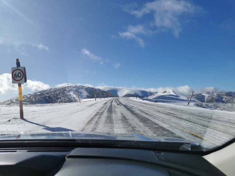 From Melbourne: Mount Buller Guided Day Tour - Exploring the Resort: What You Can Do