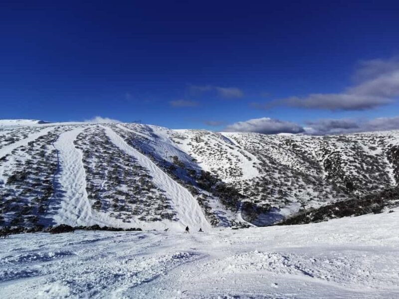 From Melbourne: Mount Buller Guided Day Tour - The Scenic Chairlift Ride and Snow Activities