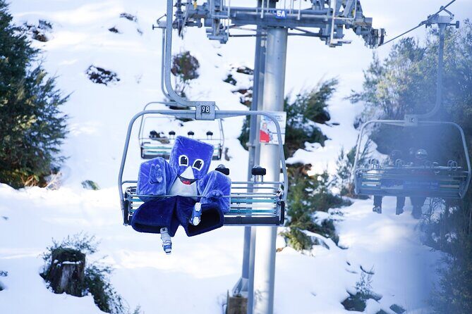 From Melbourne Mt Buller Enchanting Winter Day Tour - Key Points