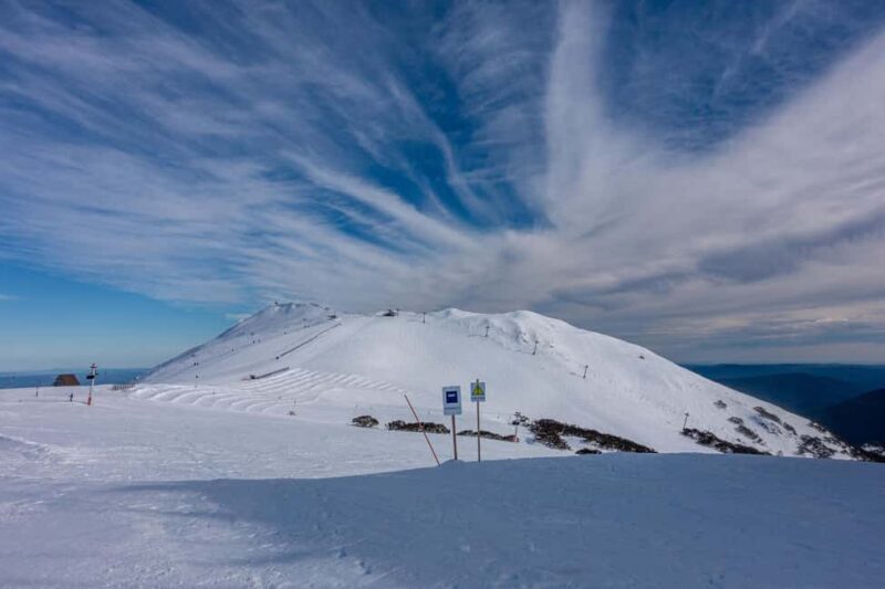 From Melbourne: Mt Buller Scenic Snow Getaway Day Tour - Who Should Consider This Tour?
