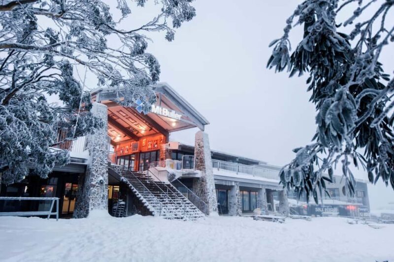 From Melbourne: Mt. Buller Sightseeing Day Trip Transfers - Authentic Experiences and Reviews from Past Travelers