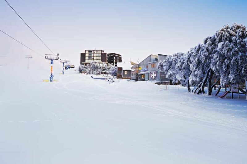 From Melbourne: Mt. Buller Sightseeing Day Trip Transfers - Who Is This Tour Best Suited For?