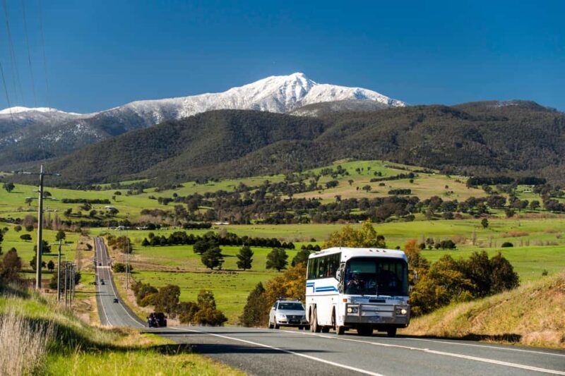From Melbourne: Mt. Buller Sightseeing Day Trip Transfers - FAQs About the Mt. Buller Day Trip