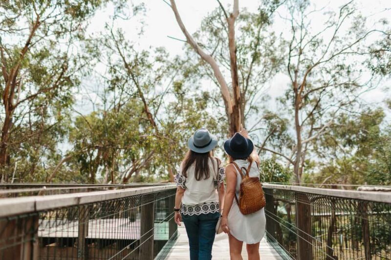 From Melbourne: Penguin Parade and Koalas Tour - The Sum Up