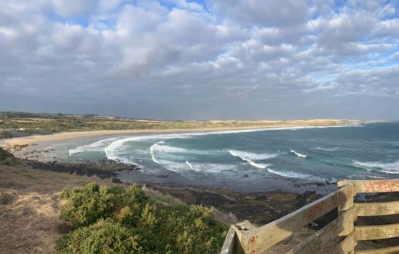 From Melbourne: Phillip Is Penguin Parade & Koala Reserve - Practical Details and Considerations