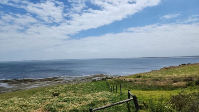 From Melbourne: Phillip Island Penguin Parade Private Tour - FAQ