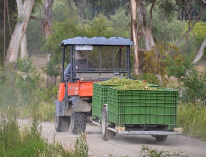 From Melbourne: Private Yarra Valley Winery Tour with Lunch - Sweet Endings: Chocolaterie Visit