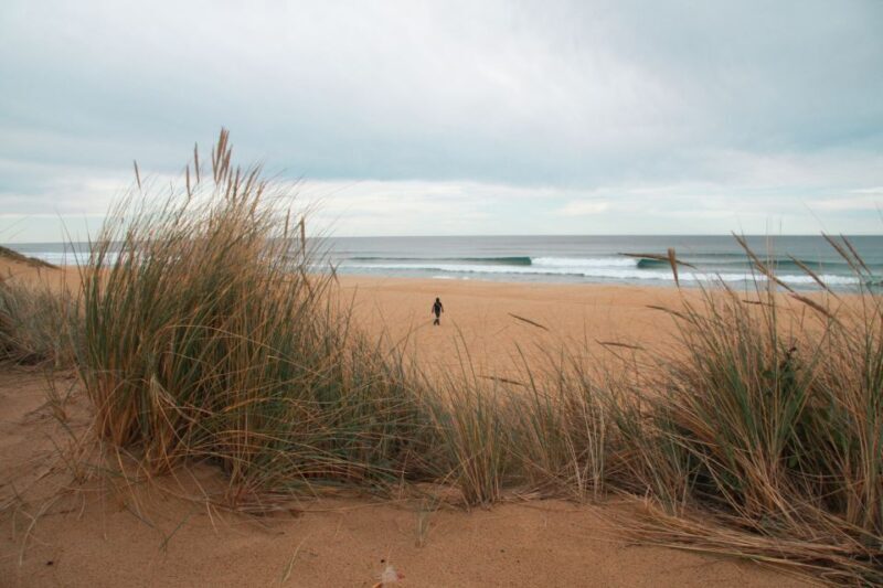 From Melbourne: Small Group Great Ocean Road Tour - Who Should Consider This Tour?