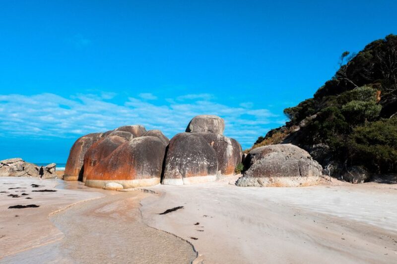 From Melbourne: Wilsons Promontory Small Group Day Tour - Key Points