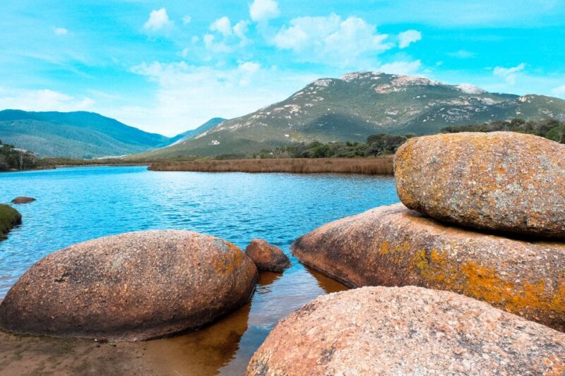 From Melbourne: Wilsons Promontory Small Group Day Tour - Transportation and Group Size