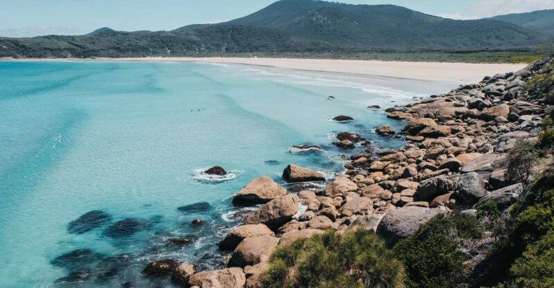 From Melbourne: Wilsons Promontory Small Group Day Tour - Pricing and Value