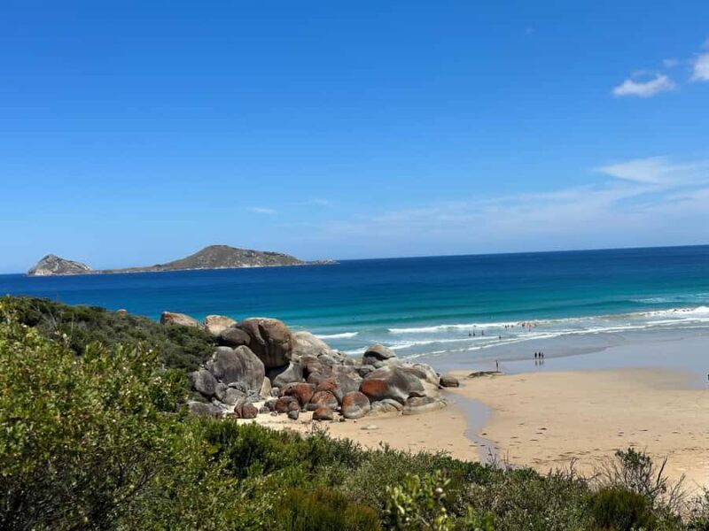 From Melbourne: Wilsons Promontory Wilderness Tour - A Comprehensive Look at the Wilsons Promontory Wilderness Tour