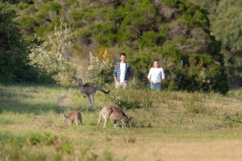 From Melbourne: Wilsons Promontory Wilderness Tour - Who Is This Tour Best For?