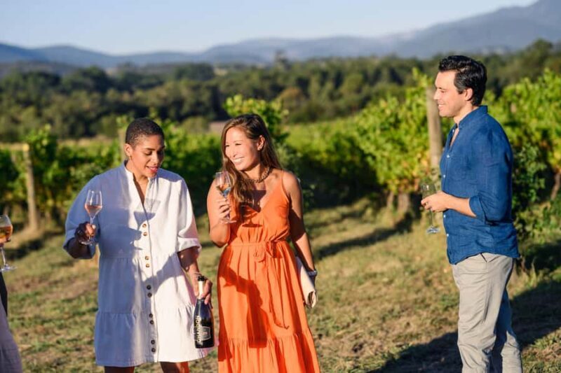 From Melbourne: Yarra Valley Chandon Cheese & Kangaroos Tour - Practicalities and Value