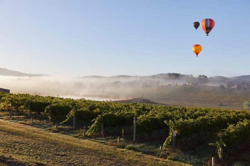 From Melbourne: Yarra Valley Hop-On-Hop-Off Bus Ticket - The Sum Up: Is It Worth It?