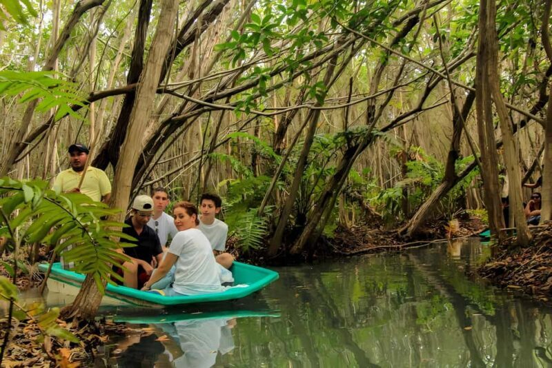 From Merida: Beach, Mangrove and something more - Key Points