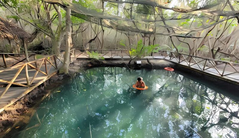 From Merida: Beach, Mangrove and something more - An In-Depth Look at the Tour