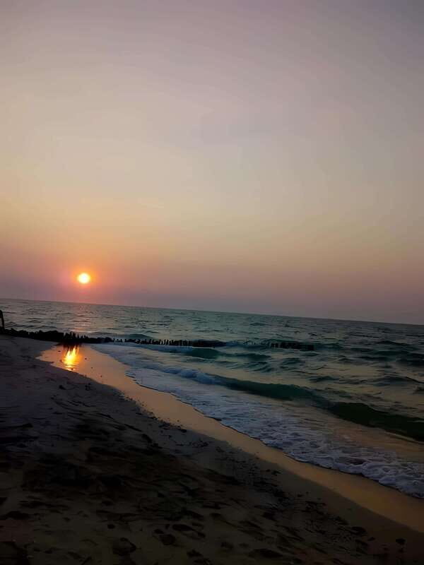 From Mérida: Beach Tour - A Closer Look at the Experience