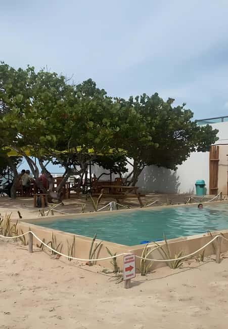 From Mérida: Beach Tour - Comfortable, Convenient Transportation
