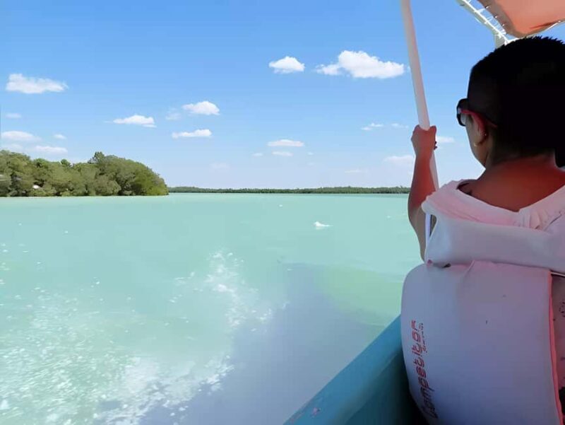 From Merida: Celestun, flamingos and beach - Key Points