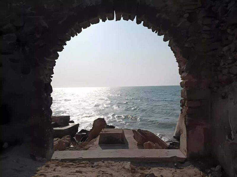 From Mérida: Celestún, flamingos, and the beach - Who Should Book This Tour?