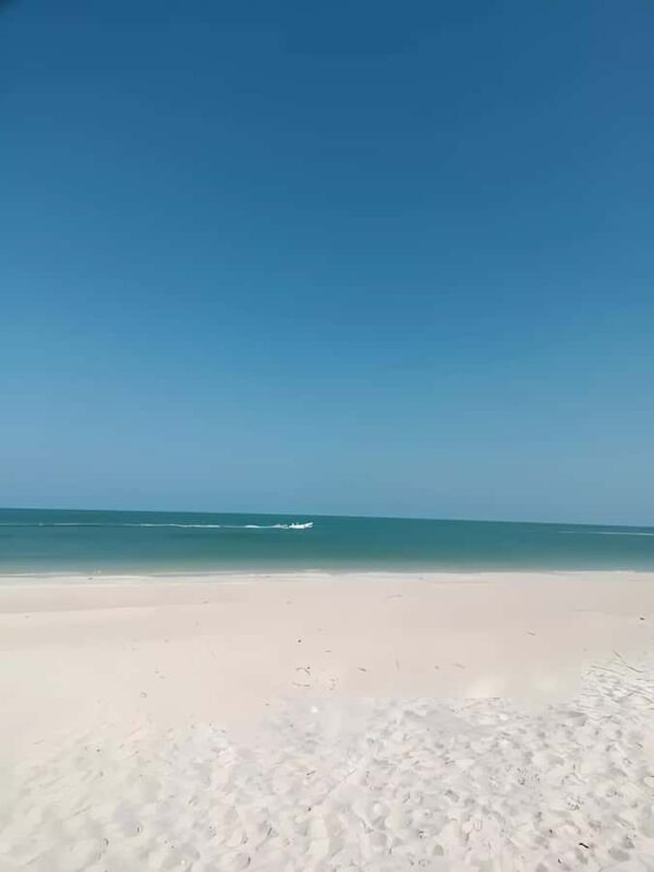 From Mérida: Celestún, flamingos, and the beach - Final Words