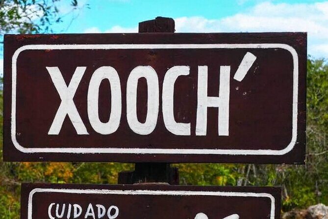 From Merida Cenotes and Santa Barbara - Who Should Consider This Tour?