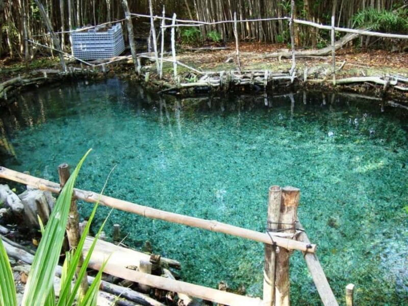 From Mérida: Dzibichaltún, El Corchito, and Progreso Trip - Exploring Yucatán from Mérida: A Full-Day Tour of Dzibilchaltún, El Corchito, and Progreso