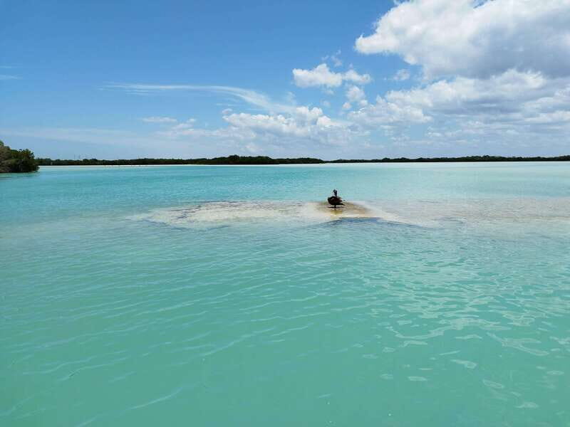 From Merida: Isla Columpios & Progreso - Practical Considerations & What’s Included