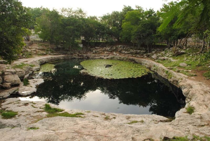 From Mérida: Mayan Dzibilchaltún & Progreso Beach Tour - A Deep Dive into the Experience