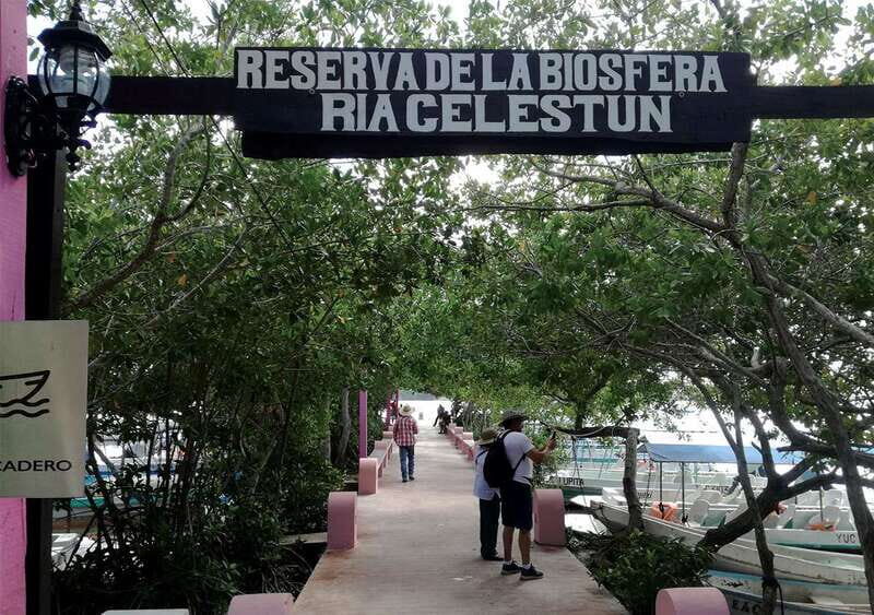 From Mérida: Ria Celestun Biosphere Reserve Tour - An Insider Look into the Ria Celestún Biosphere Reserve Tour