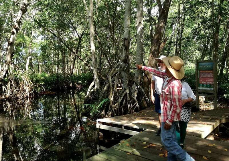 From Mérida: Ria Celestun Biosphere Reserve Tour - Authentic Encounters and Real-World Advice