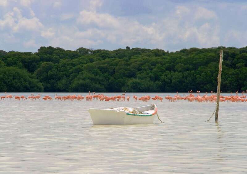 From Mérida: Ria Celestun Biosphere Reserve Tour - FAQs About the Ria Celestún Biosphere Reserve Tour