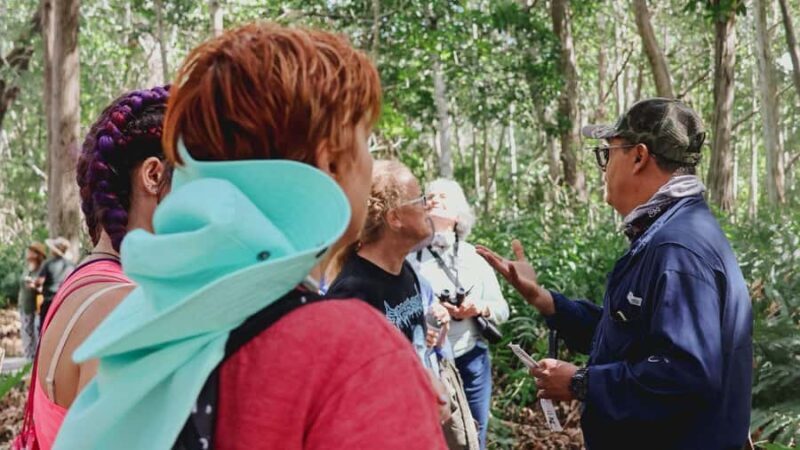 From Merida to Celestún: Biosphere, Flamingos & Beach Escape - Introduction: A Natural Showcase with Practical Appeal