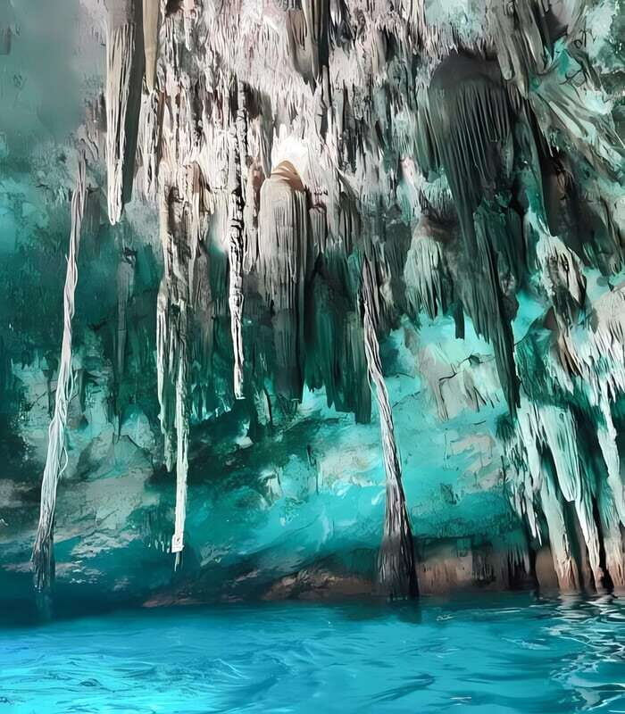 From Mérida: Tour 4 wonderful cenotes, All inclusive - A Detailed Look at the Cenote Tour Experience