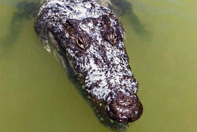 From Merida Tour to Las Coloradas and Río Lagartos - FAQs