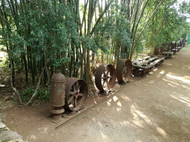 From Merida: Uxmal, Hacienda Yaxcopoil and Cenote with Lunch - Key Points