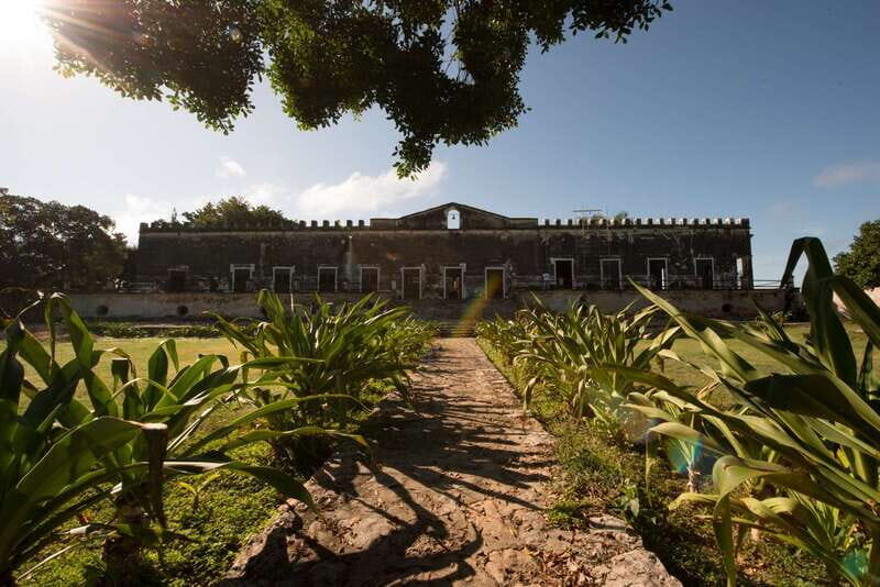 From Merida: Uxmal, Hacienda Yaxcopoil and Cenote with Lunch - Exploring the Itinerary and Experiences in Detail