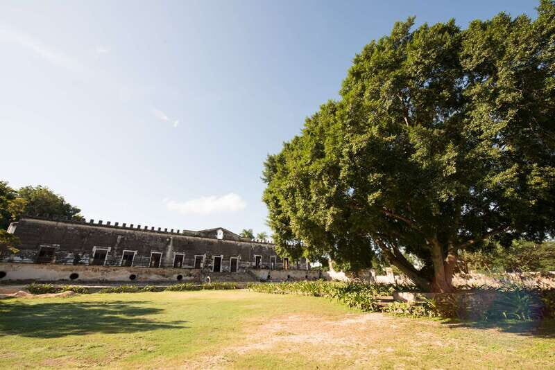 From Merida: Uxmal, Hacienda Yaxcopoil and Cenote with Lunch - The Sum Up: Who Should Consider This Tour?