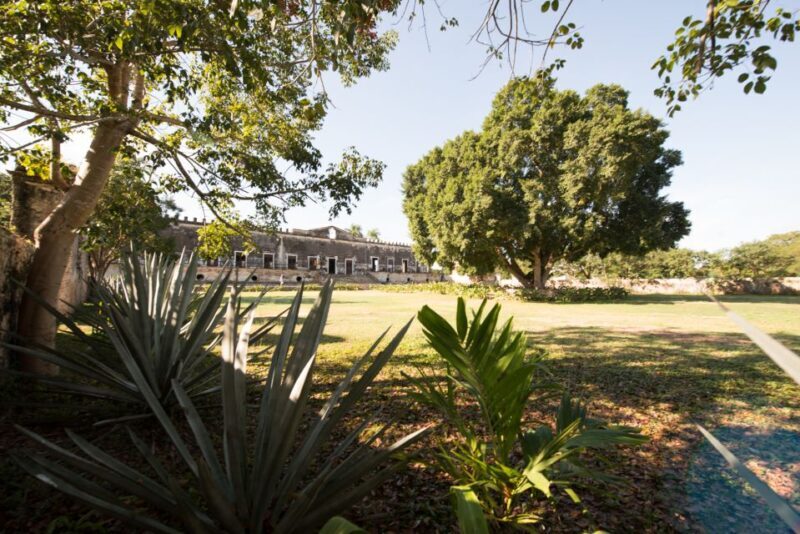 From Merida: Uxmal, Hacienda Yaxcopoil and Cenote with Lunch - FAQs